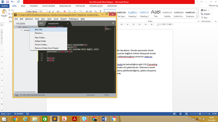 Temel Stil Dosyası (style.css) Oluşturma | by ABDULAZİZ FURKAN GÖREGEN | Medium
