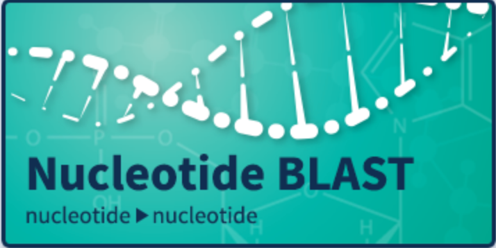 Blast 10 Ways. Adventures in bioinformatics tool… | by Lynn Langit | Medium