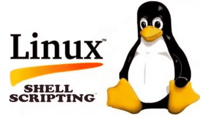 Day 4: Basic Linux Shell Scripting. | by Rajan Kumar mishra | Medium