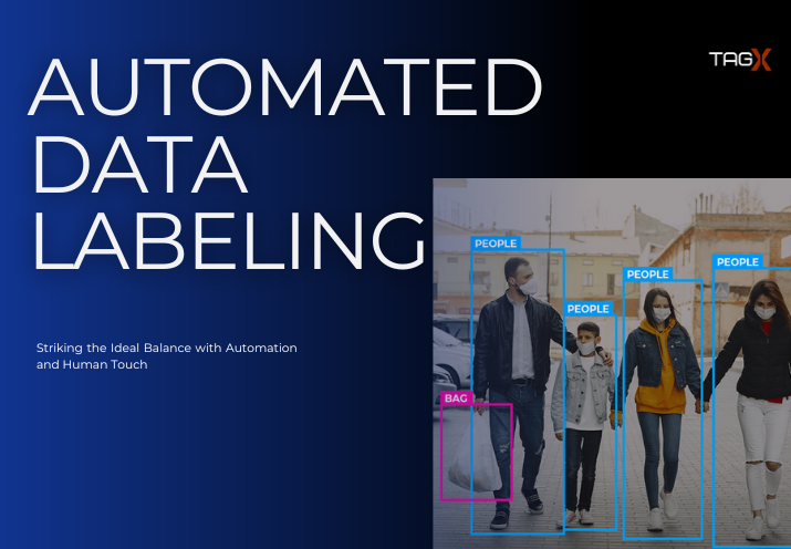 Automated Data Labeling and Human Expertise: What’s the Right Approach? | by Purushottam Sharma ...
