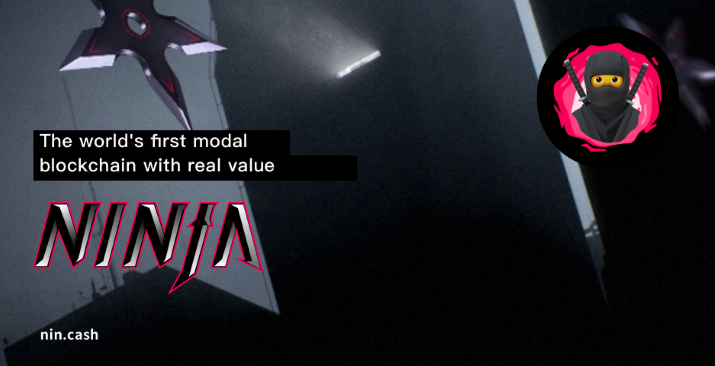 NINJA provides support for mainstream development languages for smart ...