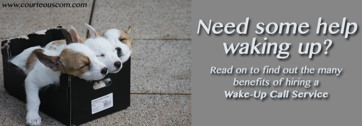 10 Ways a Professional Can Benefit from Hiring a Human Wake-Up Call ...