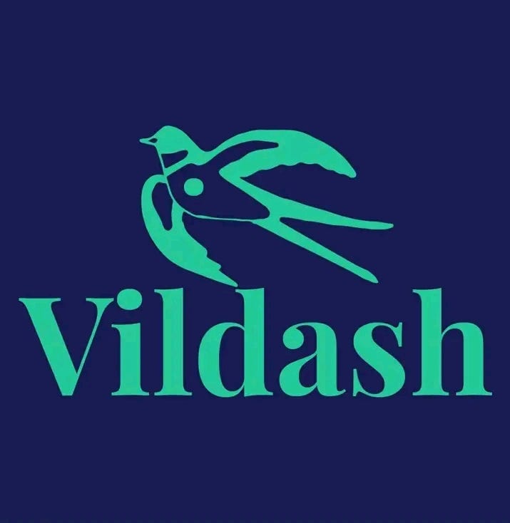 Vildash: Innovating Technology with Blissz Concepts | by Liblissz | Sep ...