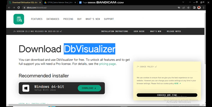 Installation DBVisualizer & Configuration To Odoo | by Satria Valerian ...