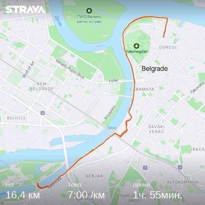 Saturday morning running - Serj Springin - Medium