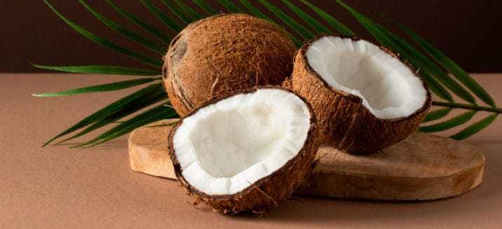 5 benefits of coconut: Adding this healthy ingredient to your diet will ...