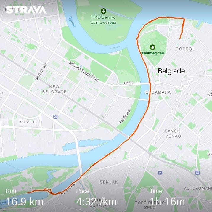 Morning run 9.5.23 - Serj Springin - Medium