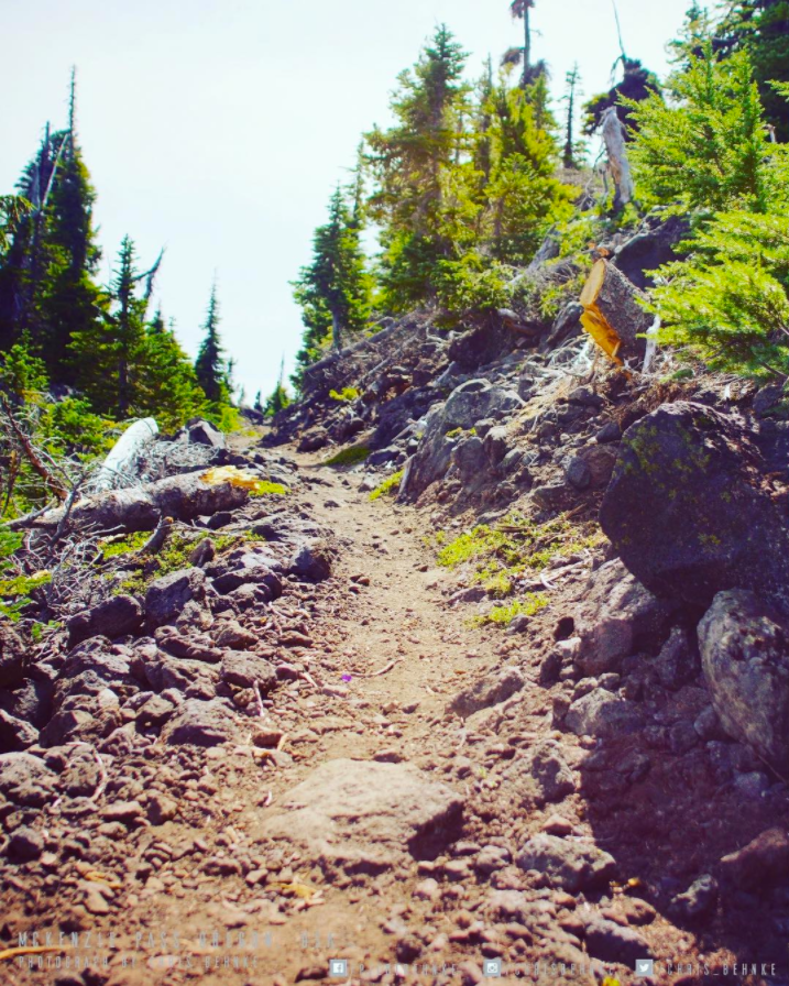 The best path is rarely easy. The easy path is rarely the best. | by ...