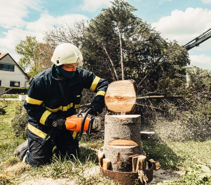Wausau Tree Service Pros - wausautreeserviceprosus - Medium