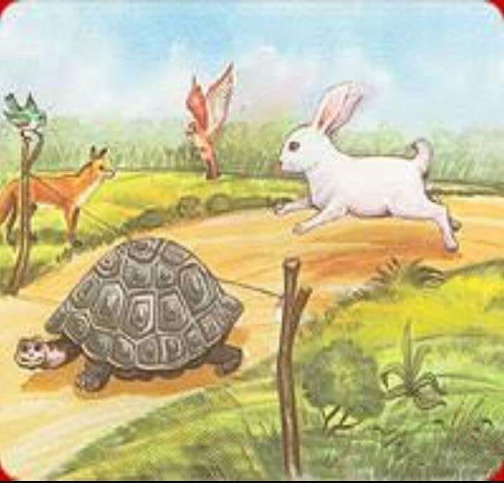 Story of rabbit-tortoise in SANSKRIT…. | by Mulu | Medium