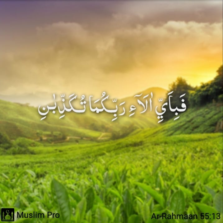 The Grace Of Lord. In the name of Allah, the Entirely… | by Reza ...