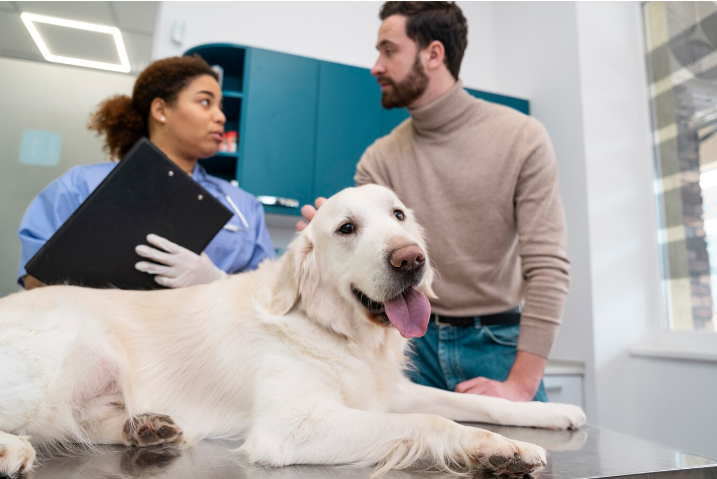 The Complete Guide to Dog Neutering: Benefits, Costs, and Care Tips ...