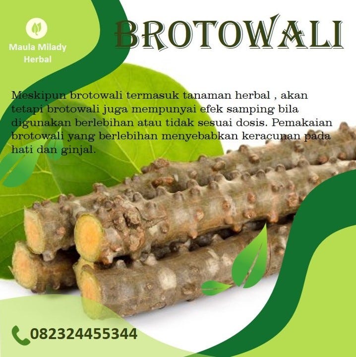 0823–2445–5344 jual bratawali brotowali di Bandung Barat | by Agen ...