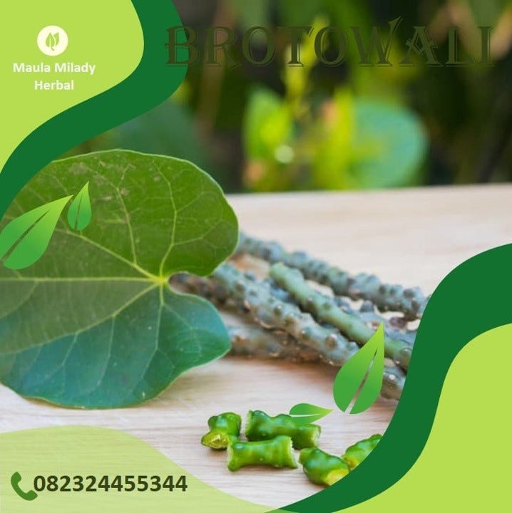 0823–2445–5344 Produsen bratawali brotowali di Karawang | by Grosir ...