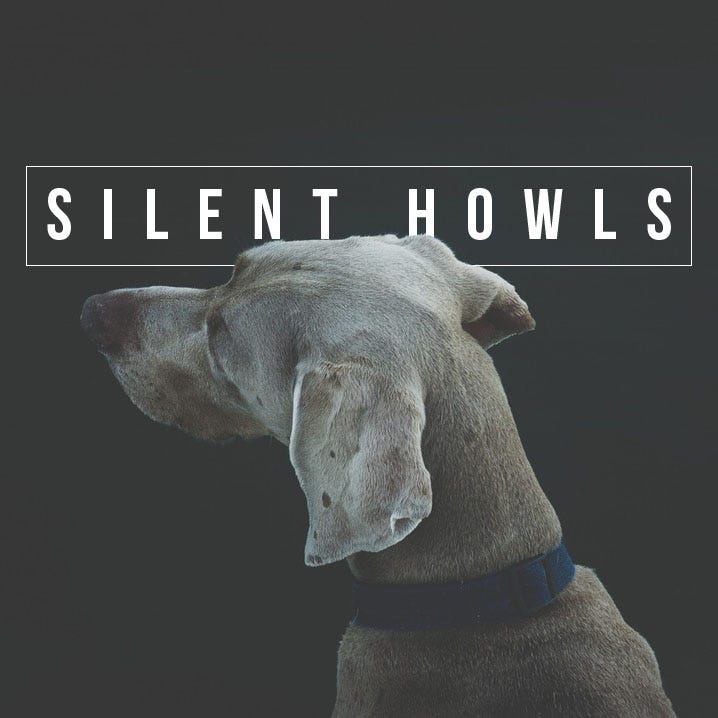 Silent Howls. My two dogs, Nano and Bagyo, howl every… | by Barry | Medium