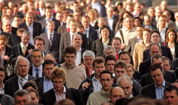What Happens if all humans die. I spent a lot of time paying attention ...