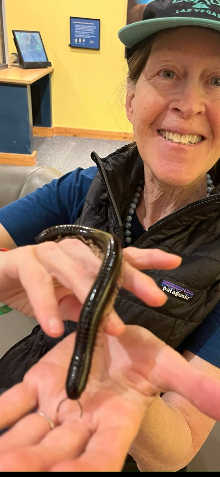 Here’s What Happened When I Tried to Fly with My Emotional Support ...