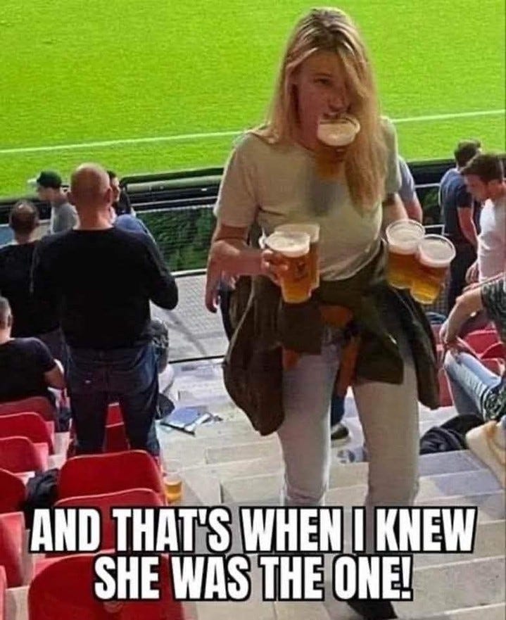 MEMES — The Perfect Girl doesn’t ex….. - VIBES - Medium