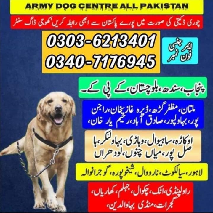 Army Dog Center Lahore #03036213401 - Armydogcentersargodha03407176945 ...