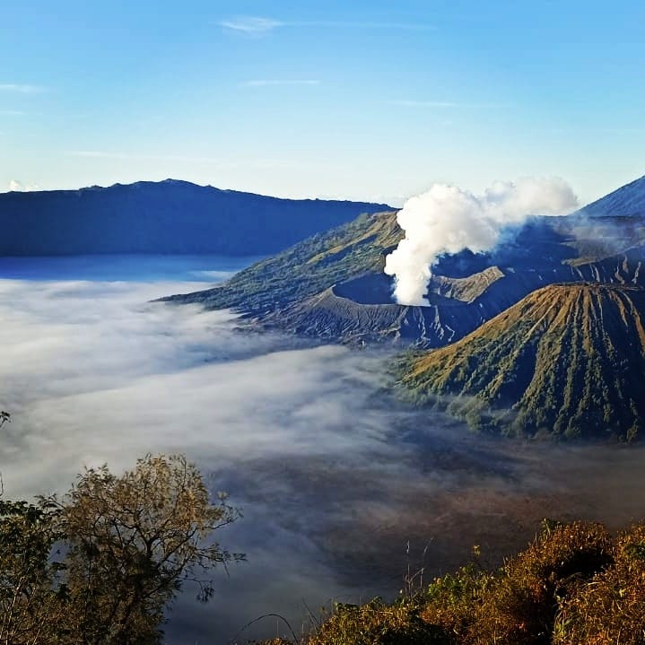 Jawa timur adalah sebuah propinsi di Indonesia yang banyak memiliki ...