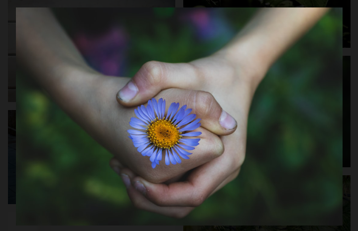 My Little Imperfections | by ~megan | Apr, 2025 | Medium