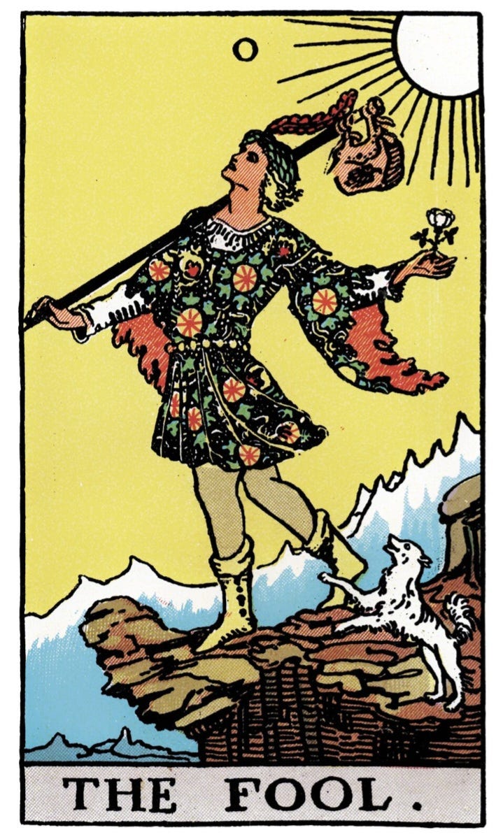 poem #5 - The Fool - Roberta J. Sonne - Medium