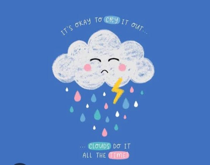 It’s okay to cry it out. "Tears are words the heart can't… | by ...