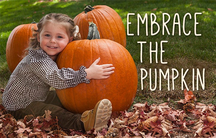 3 Reasons to Embrace the Pumpkin. Fall is here, bringing with it ...