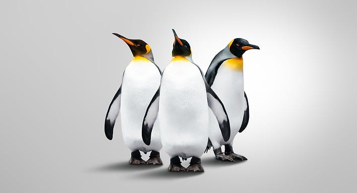 Three Emperors. Peter has had his revenge. He did not… | by Neil’s ...