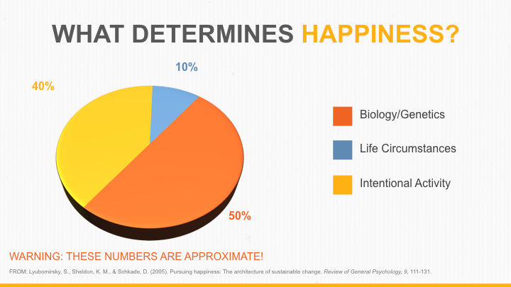 A Step For Happiness: A Happiness Study | by Robin Win | Oct, 2023 | Medium
