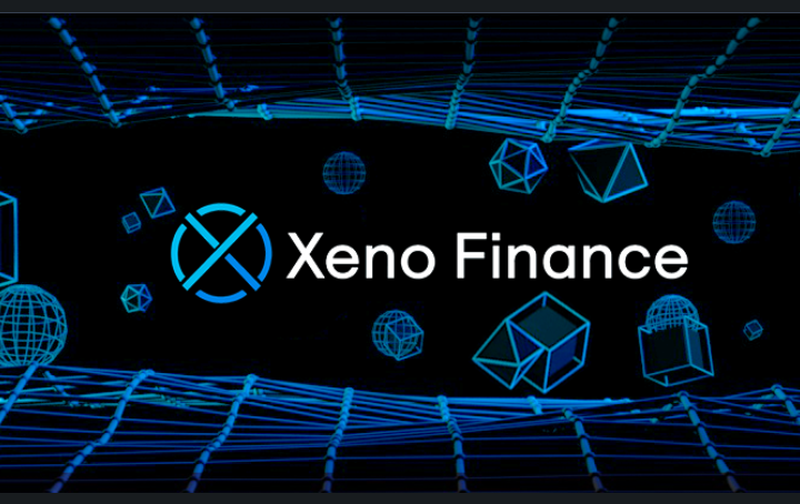What is Xeno Finance ?. Xeno Finance operates as a… | by tempter | Medium