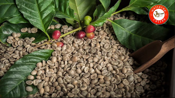 Top-Notch Green Coffee Beans for Supplemental Products | by Rahmajeng ...