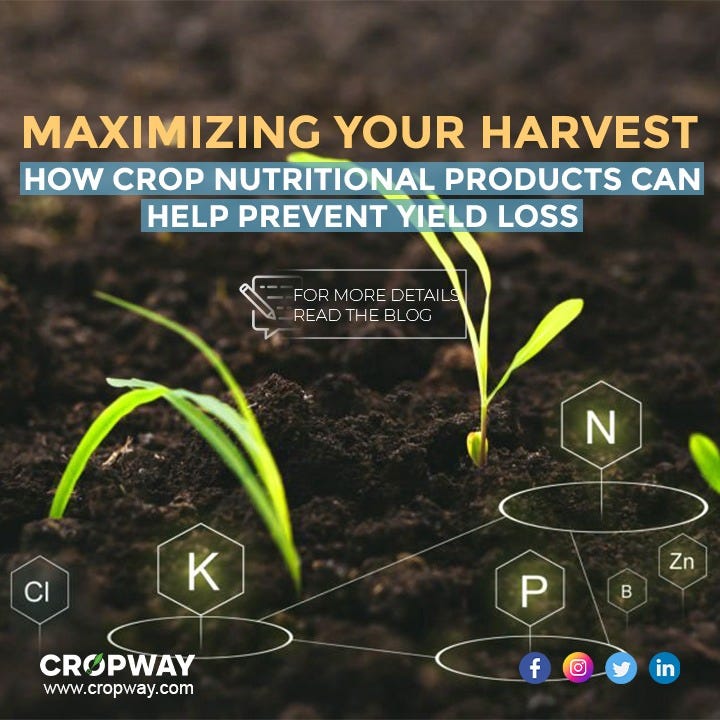 How Crop Nutrient Products Can Help Prevent Yield Loss — 2024 | by ...
