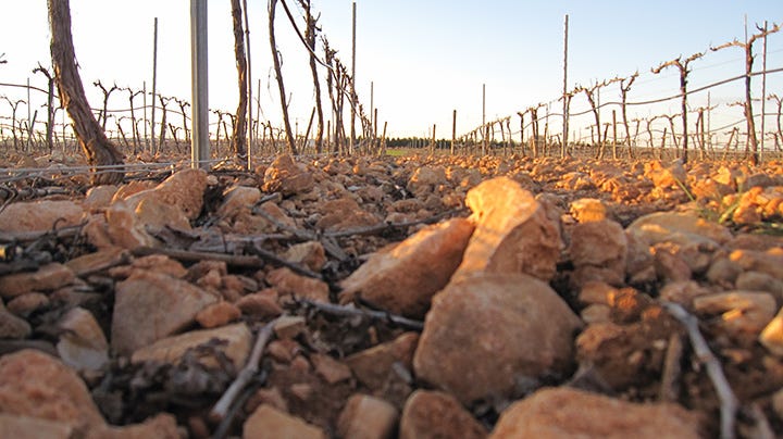 Barcelona Wine Tasting: The Lesser Known Regions of Spain | by Fintan ...