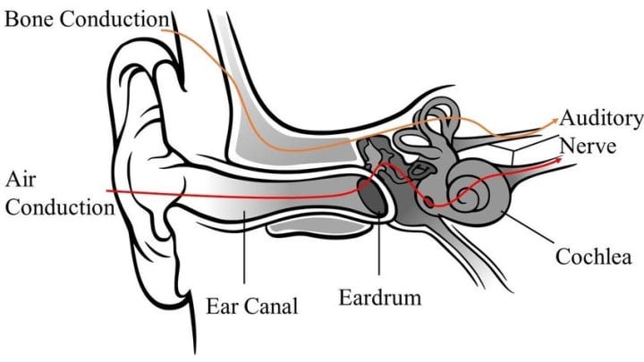 How Do Bone Conduction Headphones Work and Are They Good? | by Author ...