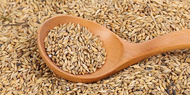 Top API to Get Australian Daily Grain Prices | by TheStartupFounder.com ...