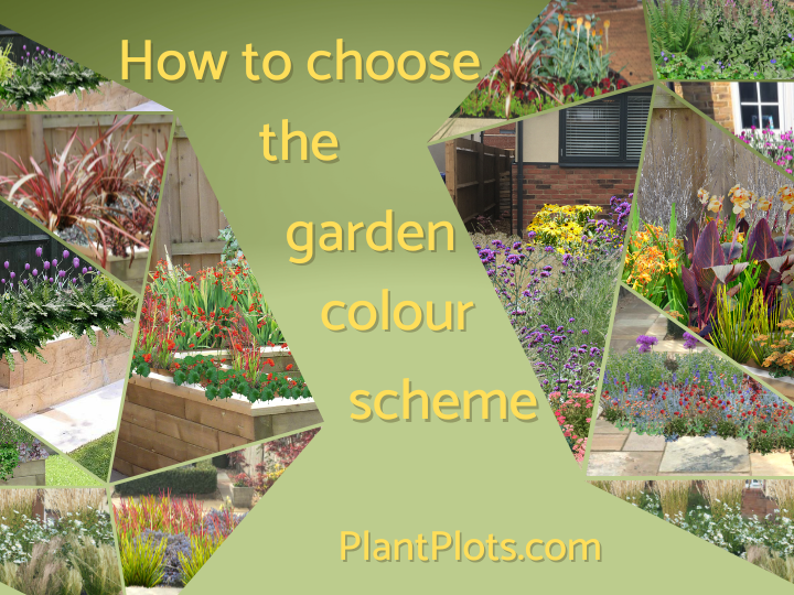 How to choose a garden colour scheme | by PlantPlots | Medium