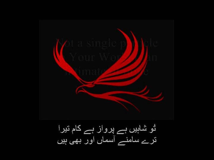 Lessons from the last session: Taking Flight 🕊 | by M Umair | Medium