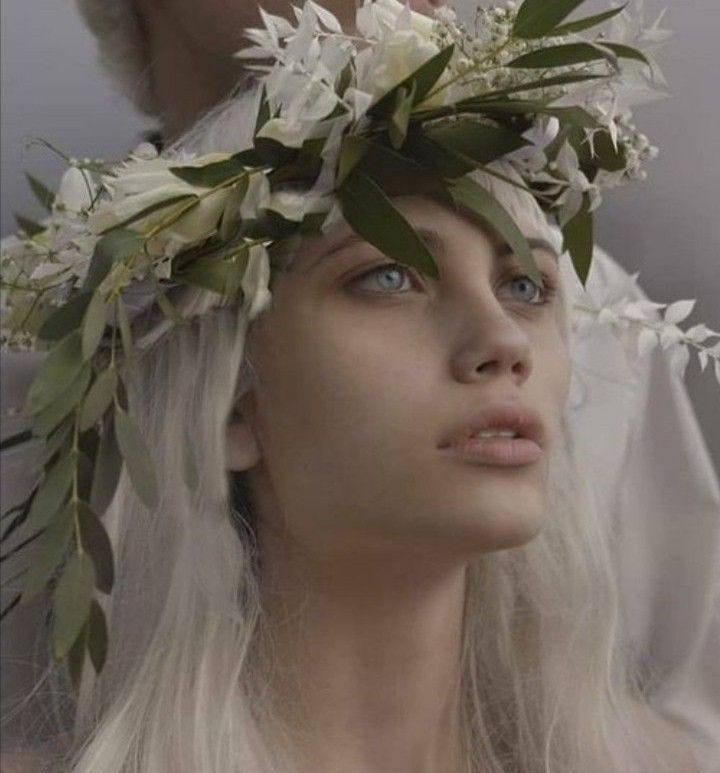 ️ Fictional Ice Queens of BookTok You Secretly Worship | by The ...