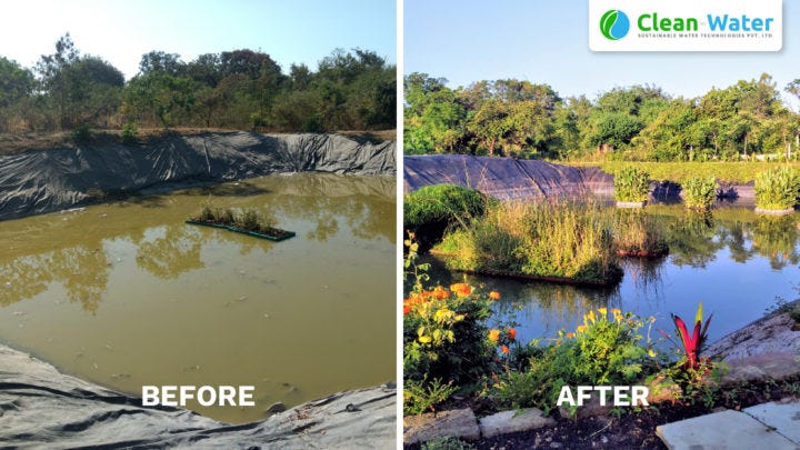 Indore Leading the way in Lake Restoration Initiatives — Clean-Water ...