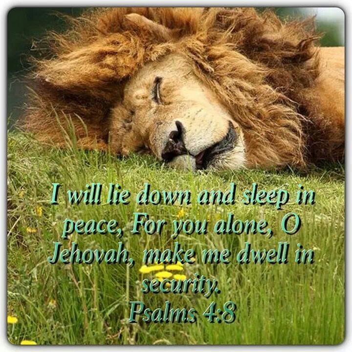 God’s Presence Keeps Us Safe and at Peace | by Mrs Diane Mary Markey ...