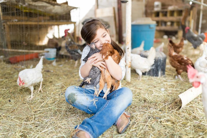 Teach Children to Love & Respect Animals | by Mark Snyder Jr | Medium