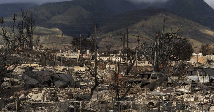 “final Victim Of Maui Wildfire Identified As 70 Year Old Lydia Coloma