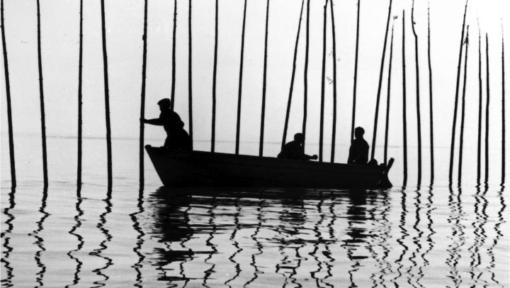 Québec’s Cinéma Direct Primer: What Films to Watch Now | by Daniel Walber | Nonfics | Medium