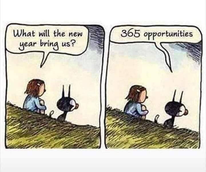 365 Opportunities. A few days ago, I noticed a comic… | by Peggy A ...