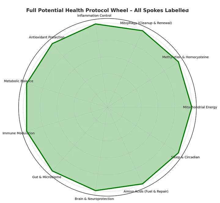 How the Health Wheel Protocol Works: A Creatine Example | by Siri ...