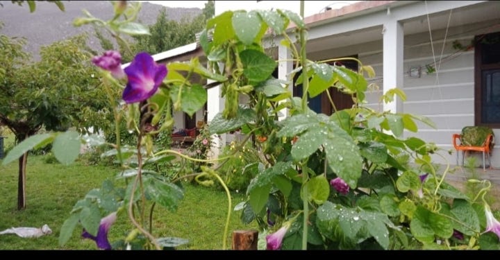 Home Gardening: A Simple and Rewarding Way to Connect with God, Nature, and Yourself | by ...