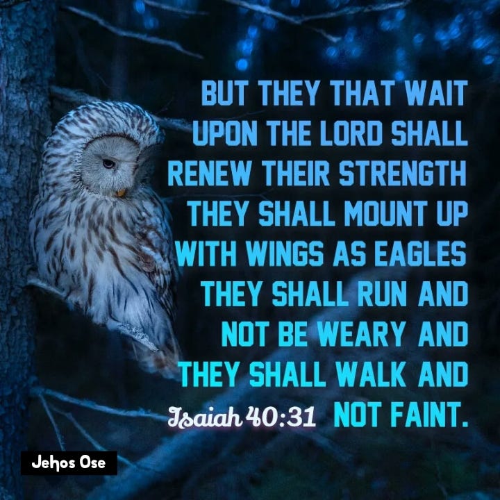 MY DAY IS BLESSED 📖23-01-2023📖. RENEWED STRENGTH | by Okpamen Jehos ...