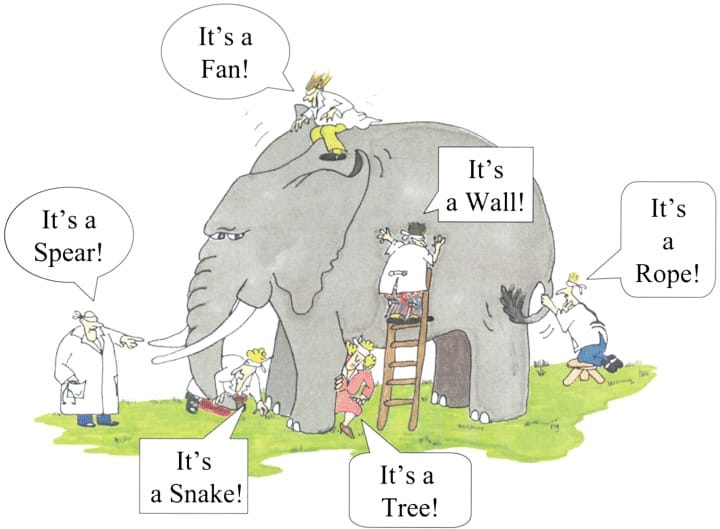 THE BLIND MEN AND THE ELEPHANT. TRUTH BEHIND PERCEPTION AND… | by Sajid ...