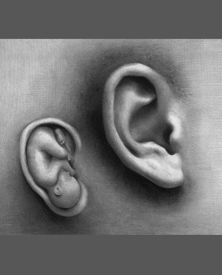 Your ears are the womb, you become what you consume with them; | by ...